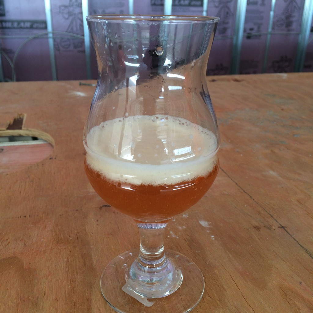 Wild Mind Ales Brewing Up Something Different – MNBeer – Craft beer ...